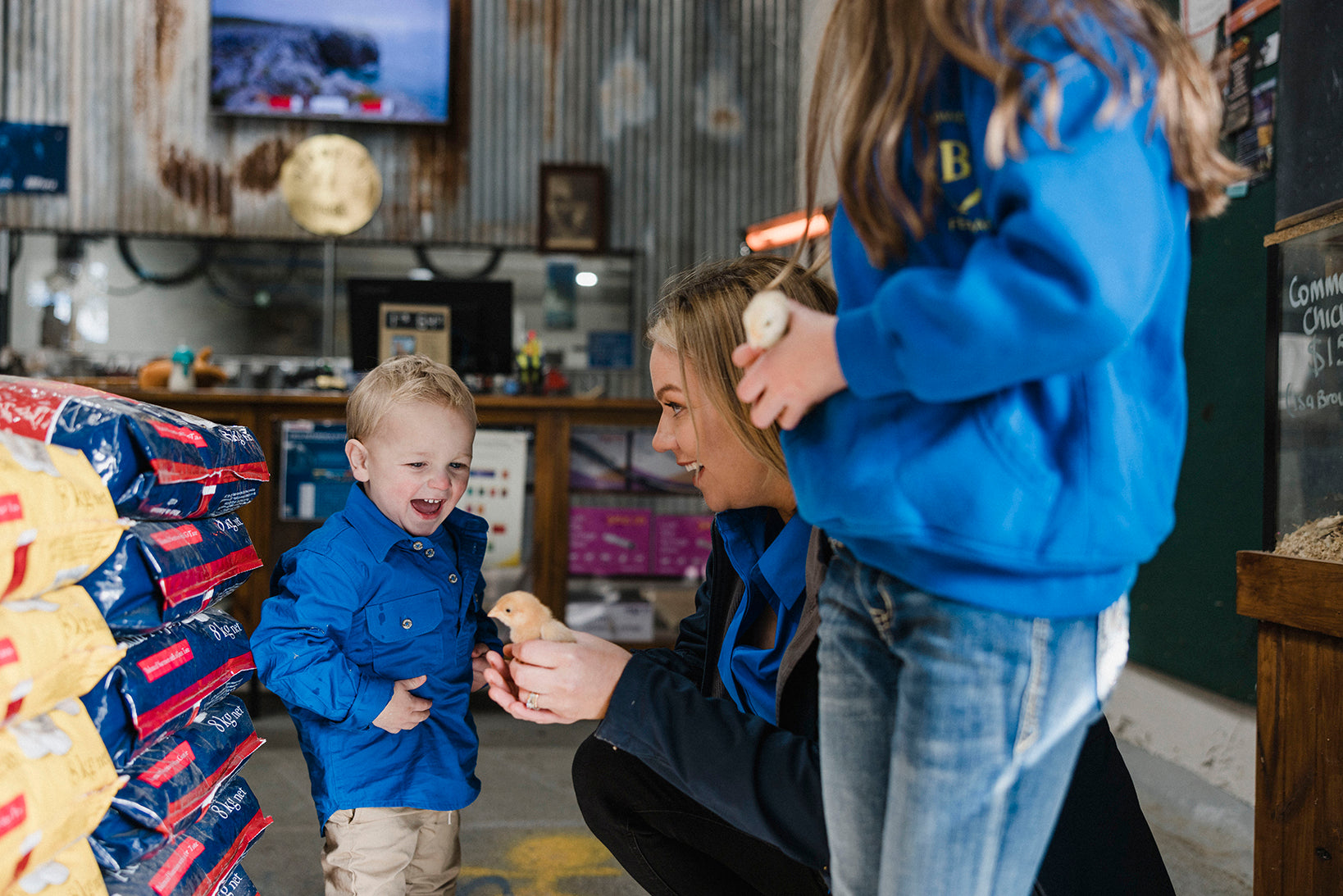 LIVESTOCK VETERINARY – Bedwells Feedbarn