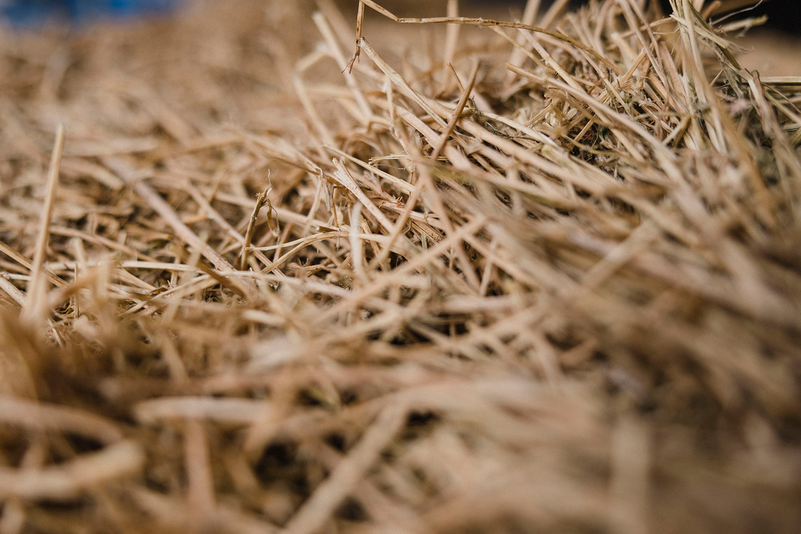 HAY & CHAFF – Bedwells Feedbarn