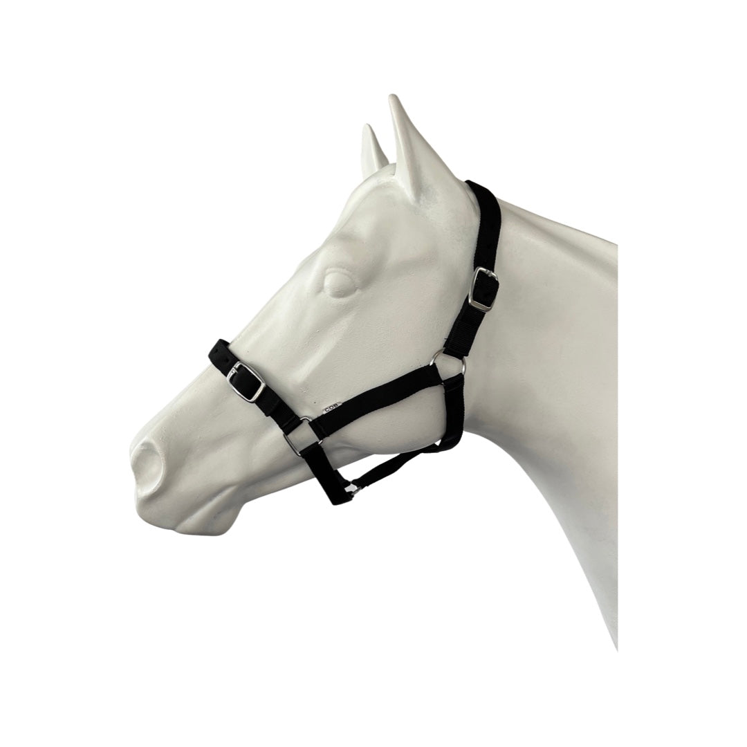 EUREKA BUCKLE HALTERS