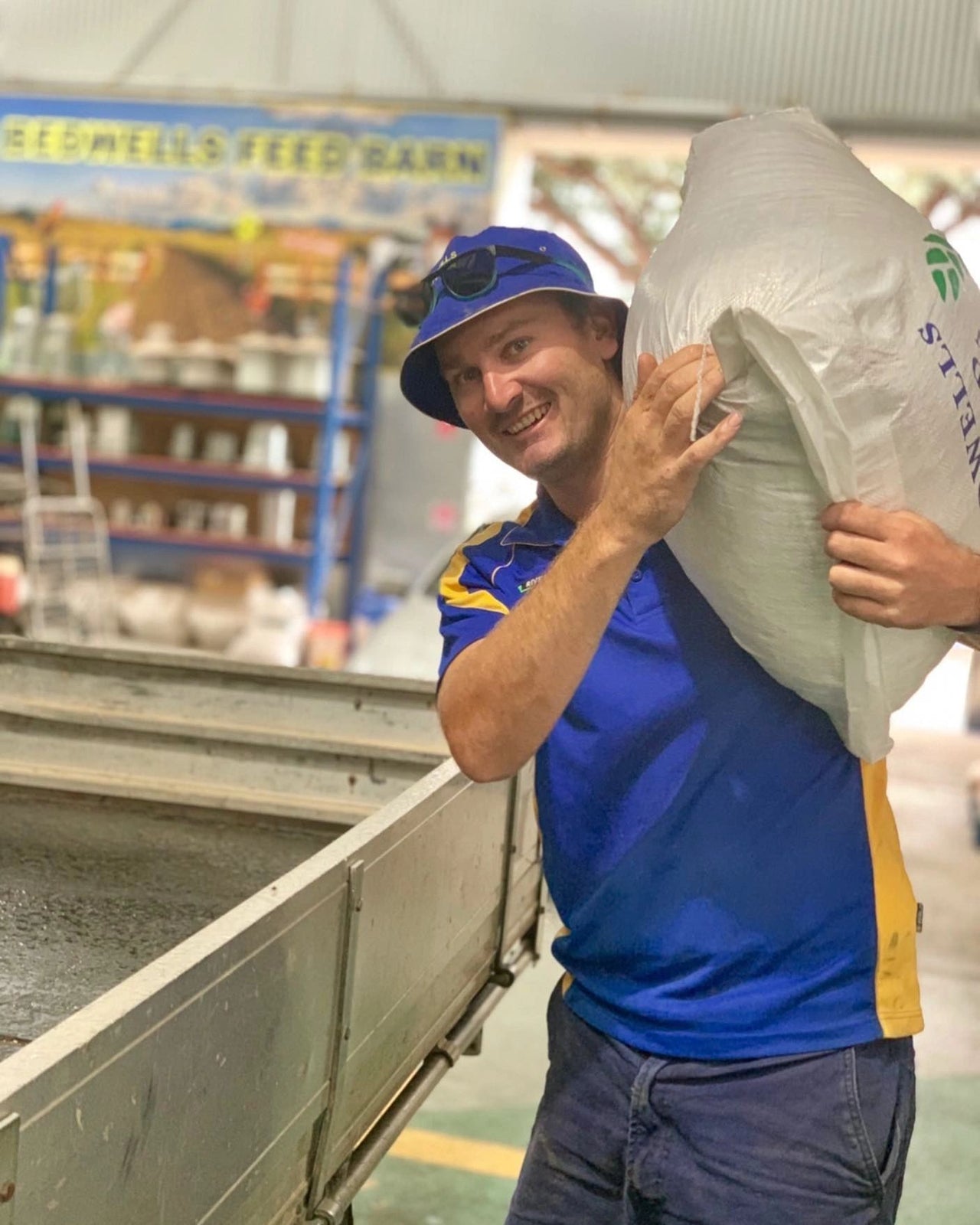 MITAVITE GUMNUTS 20KG – Bedwells Feedbarn